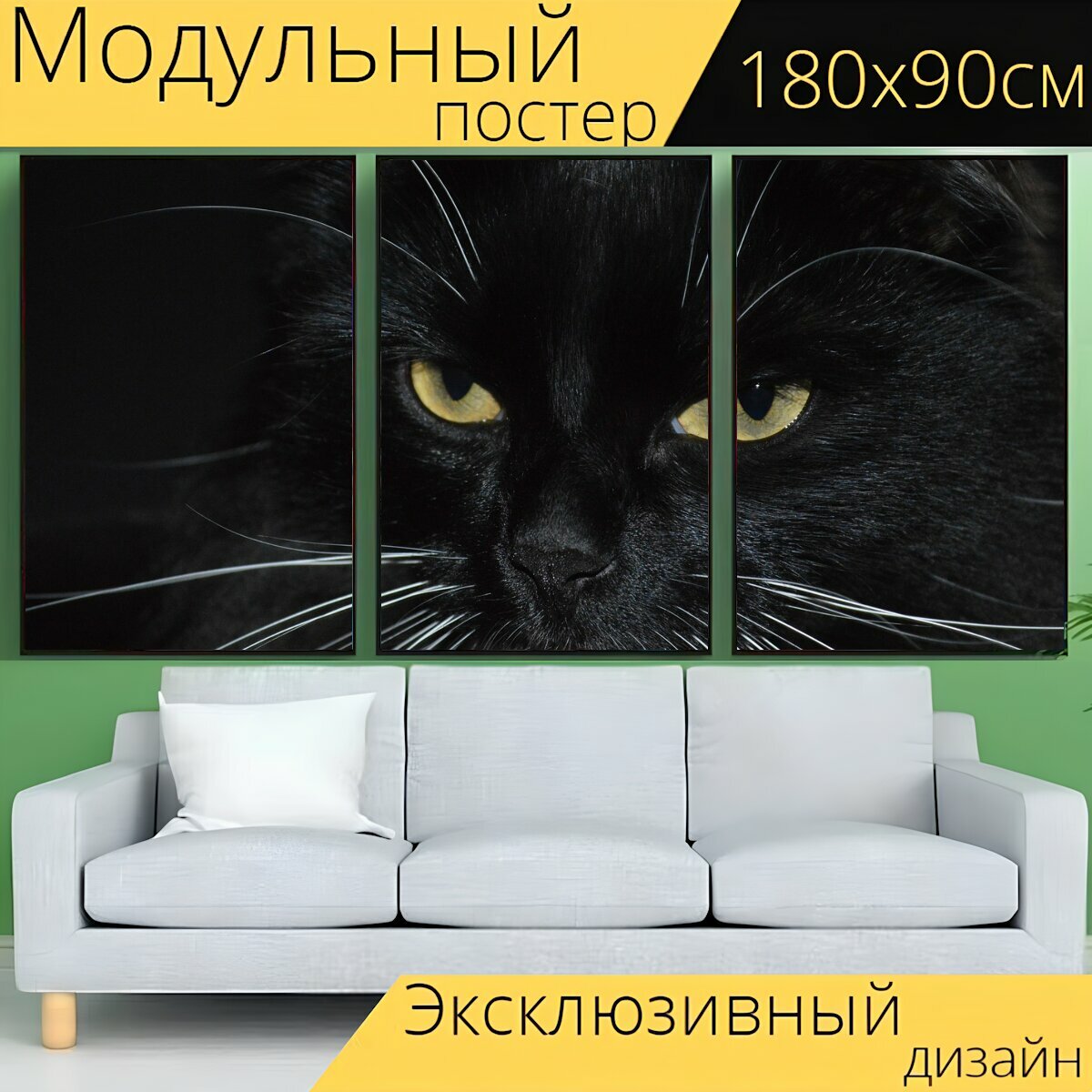 Модульный постер "Cat, black cat, cat's eyes" 180 x 90 см. для интерьера на стену в тубусе