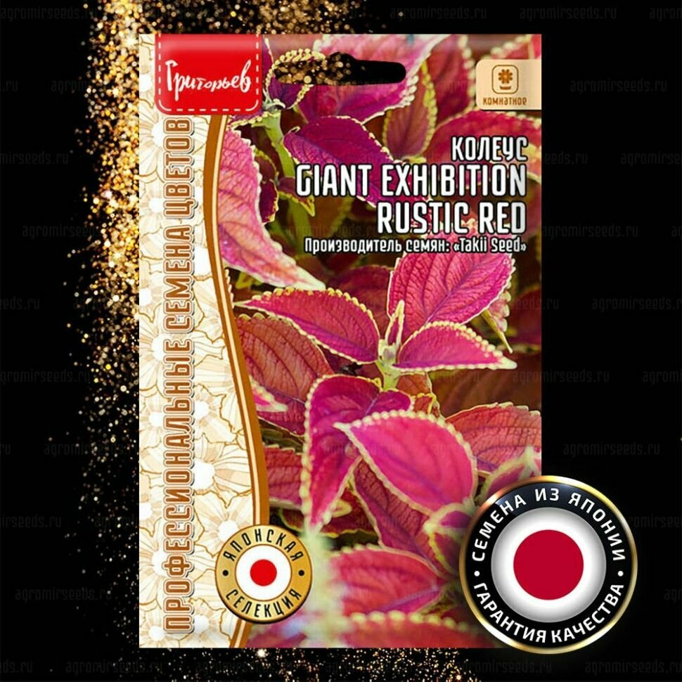 Колеус "GIANT EXHIBITION RUSTIC RED" Японская селекция "Григорьев"