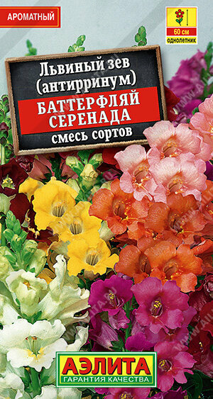 Семена аэлита Львиный зев "Баттерфляй", смесь сортов, для клумб и контейнеров