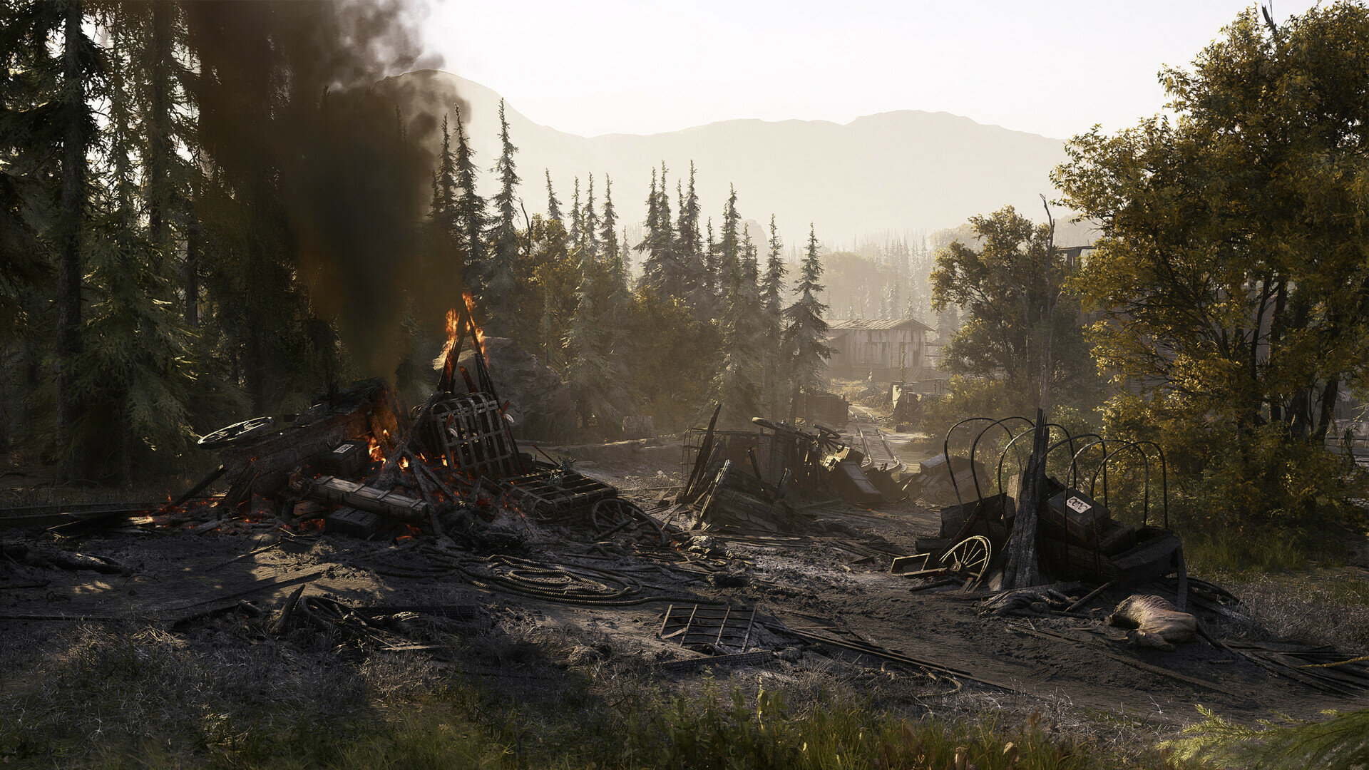 Hunt: Showdown 1896, Все страны — фото 1