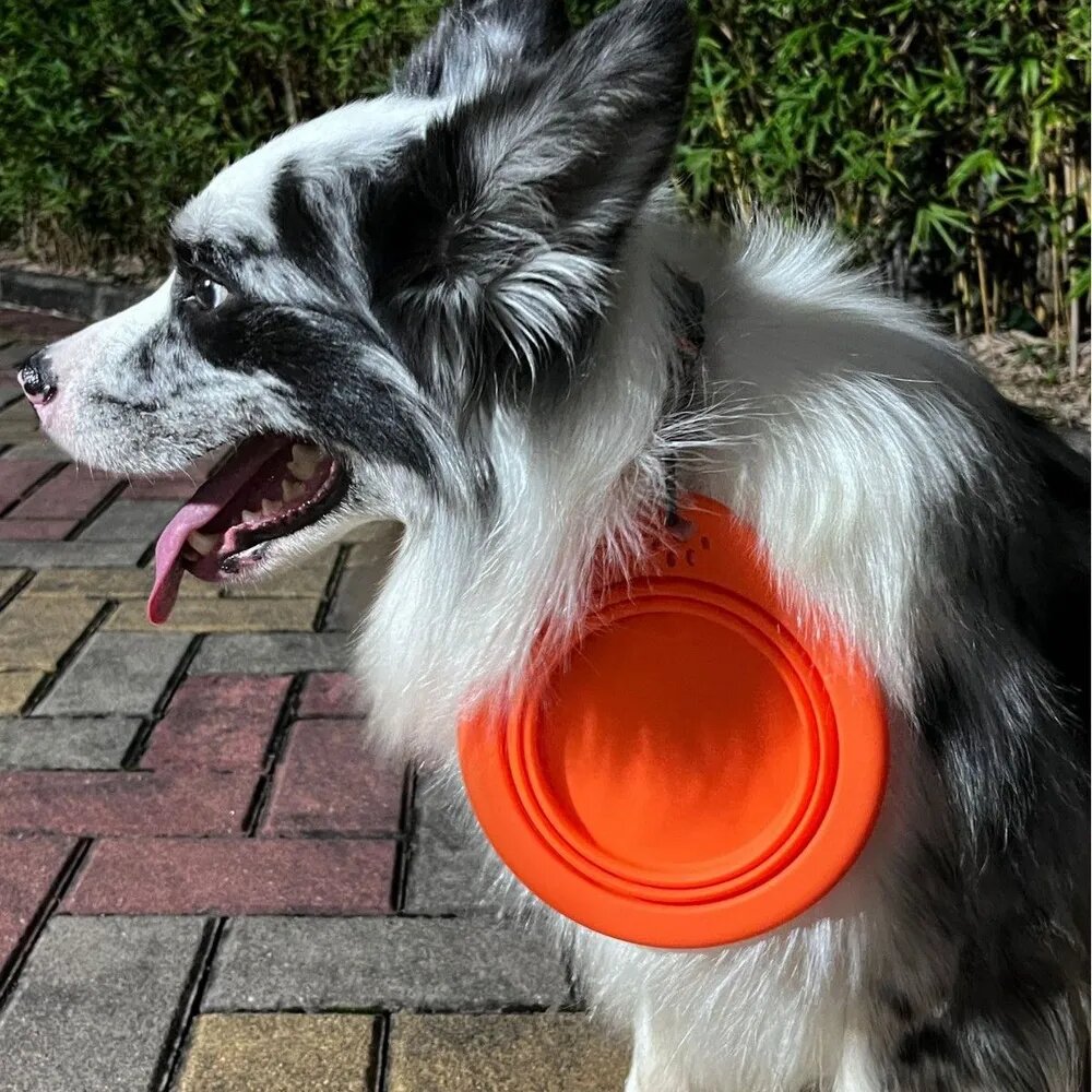 Миска для собак и кошек складная