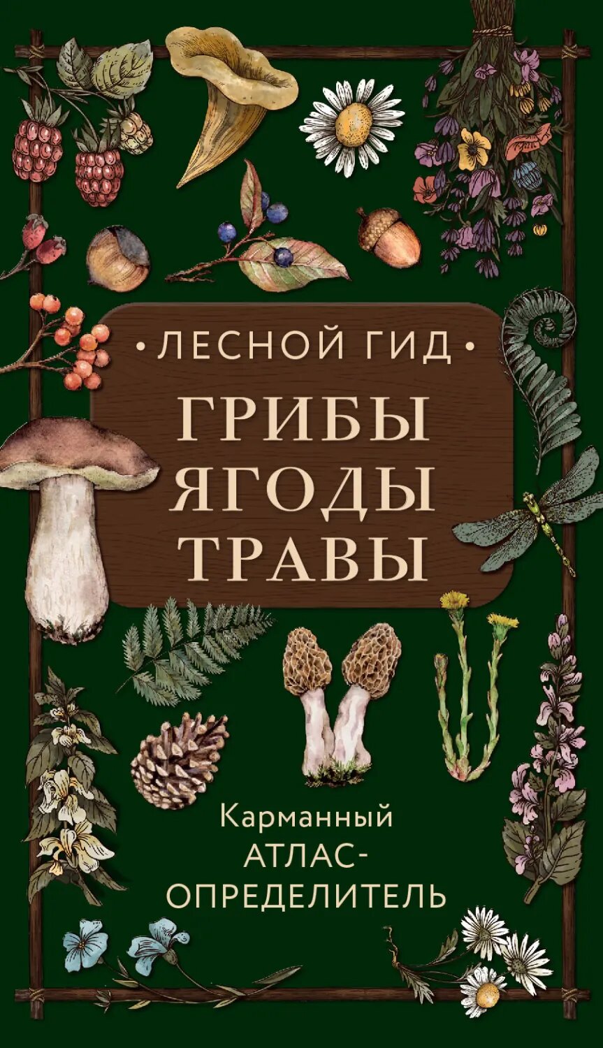 Лесной гид: грибы, ягоды, травы. Карманный атлас-определитель [Цифровая книга]