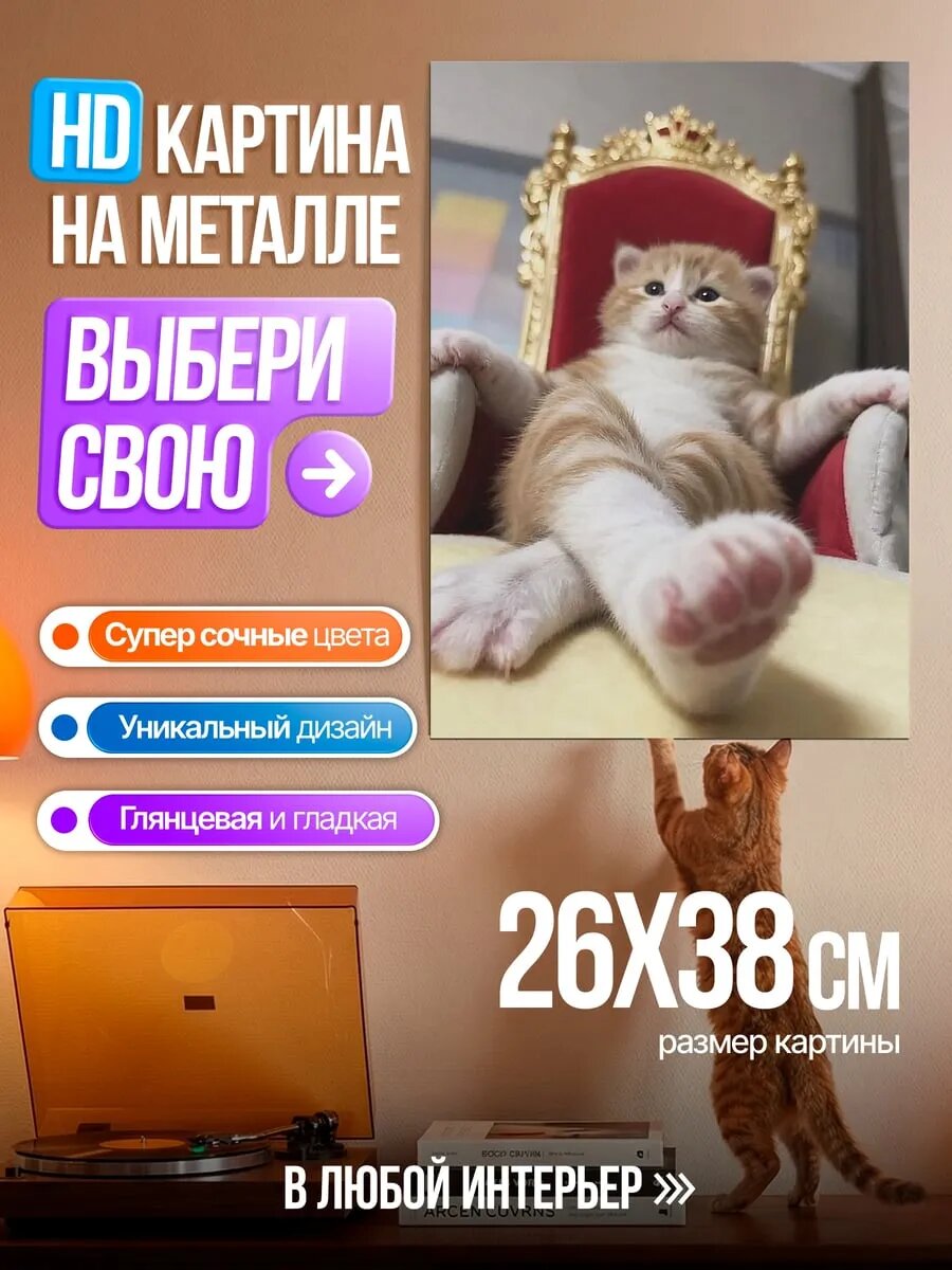 Картина на HD металле Кот на троне