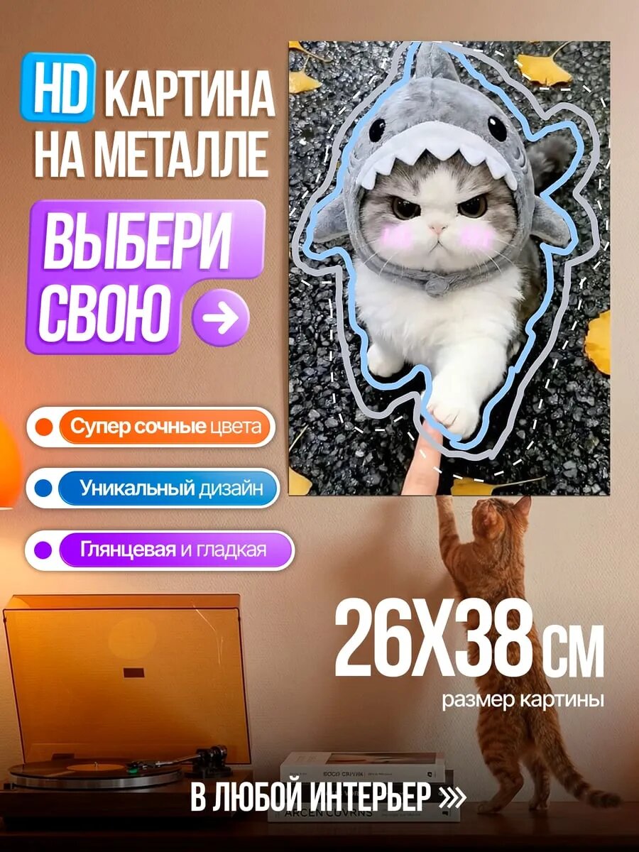 Картина на HD металле Кот в костюме акулы