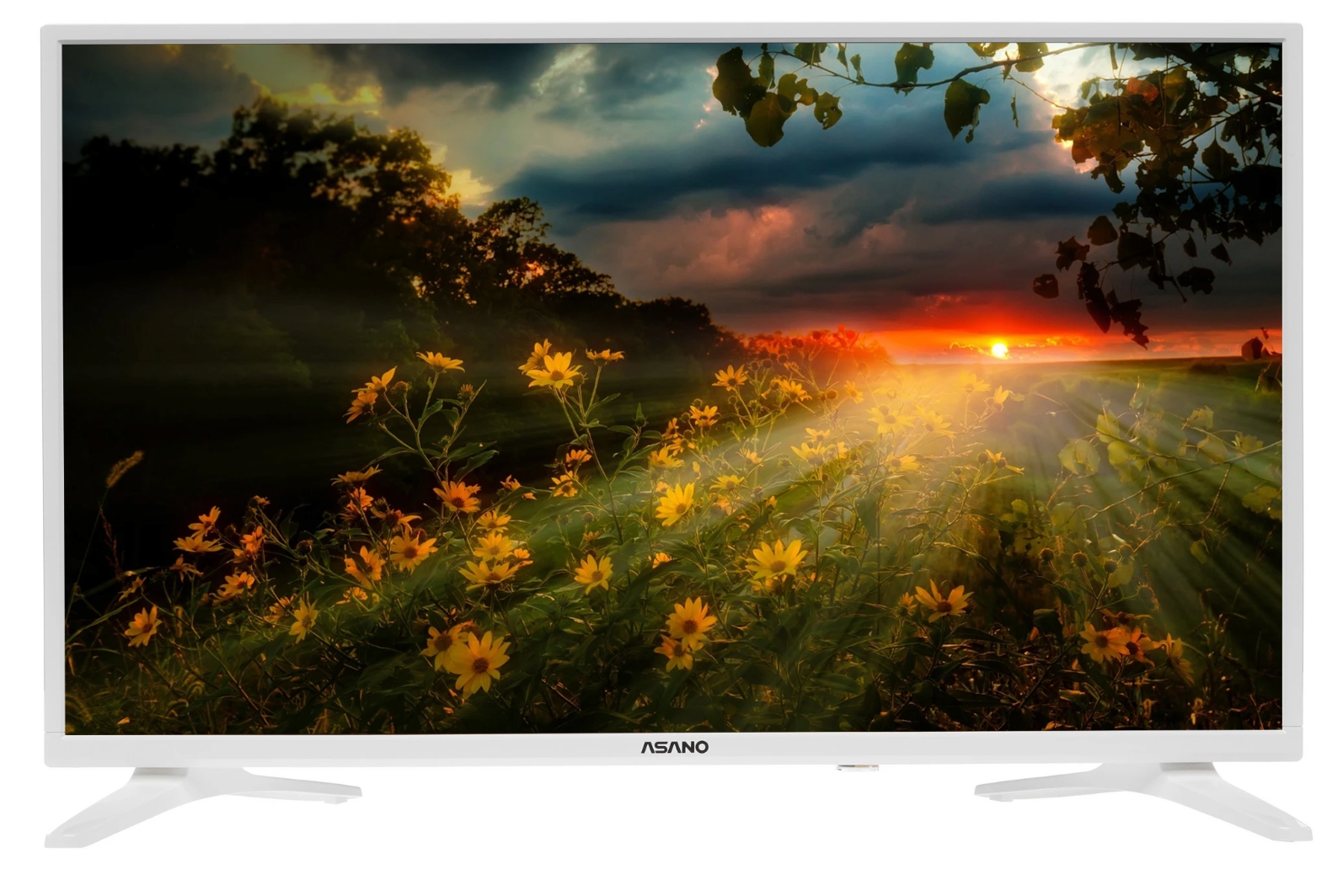 Телевизор 32" HD Asano 32LH1011T, белый