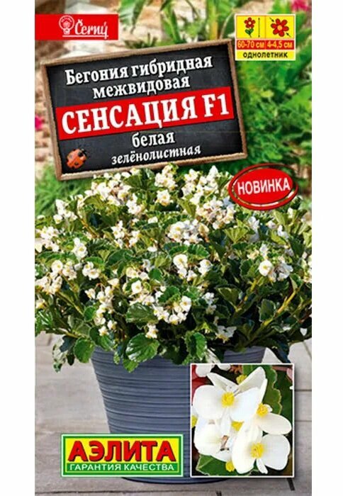 Семена бегонии Аэлита Сенсация белая, ампельная, 7 шт
