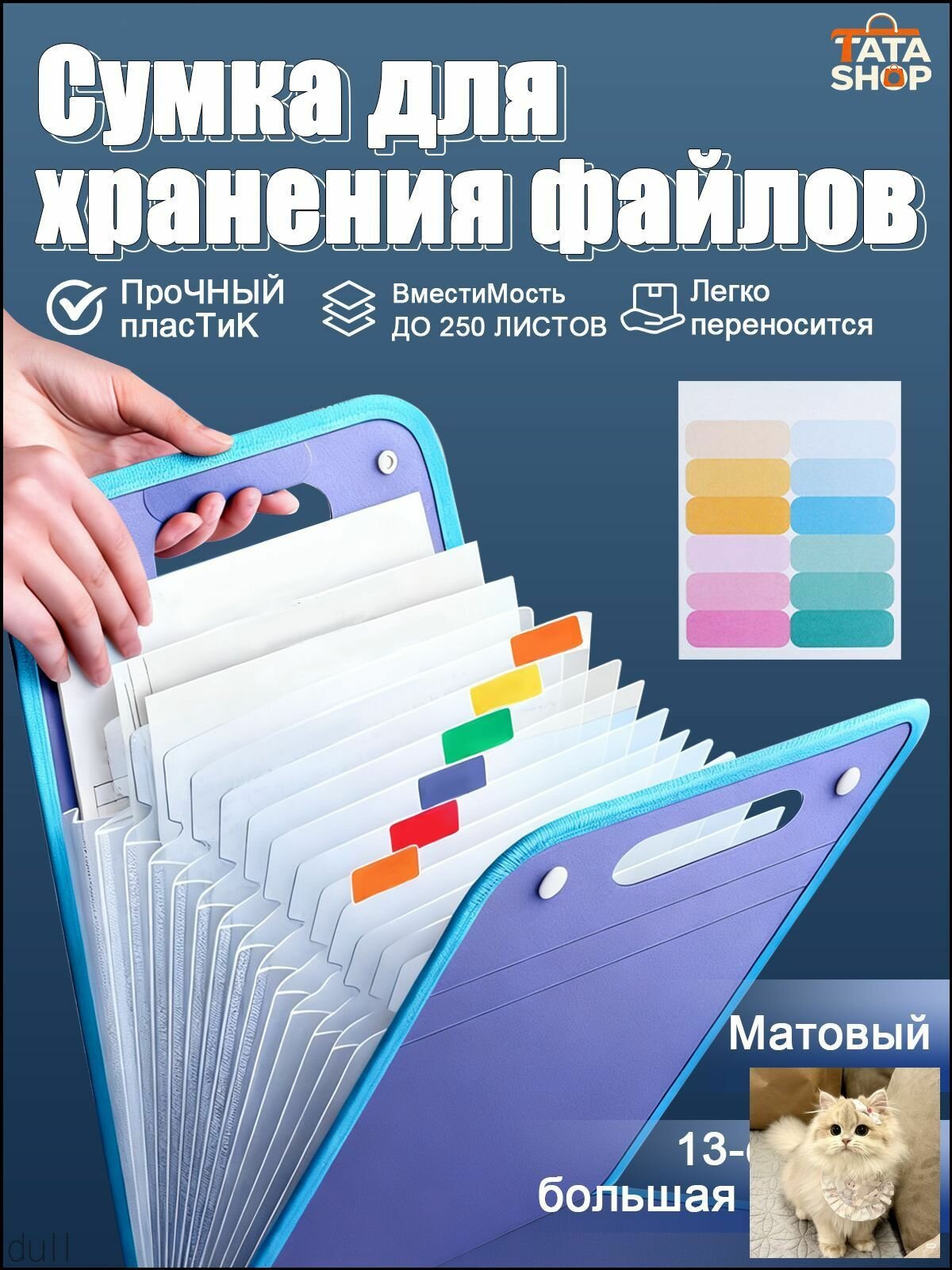 Документница