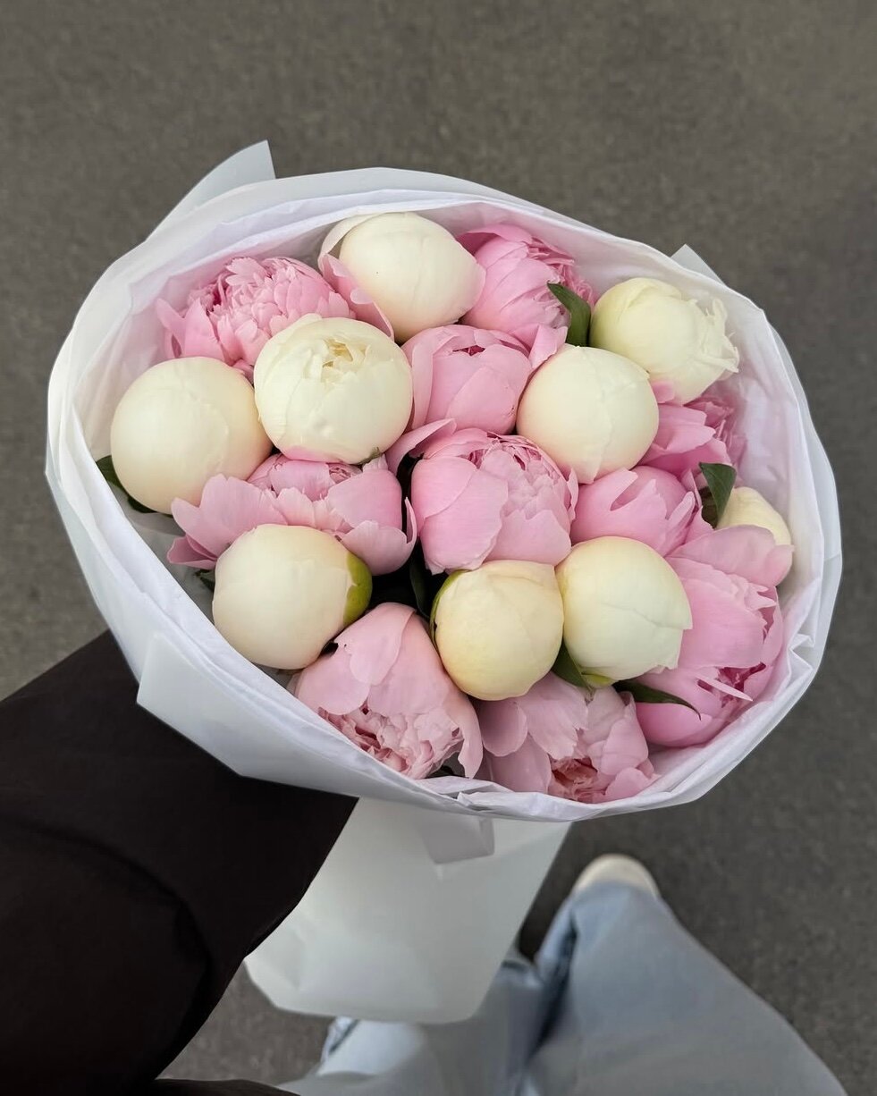 Букет из 19 белых и розовых пионов, белые пионы, розовые пионы, букет из пионов