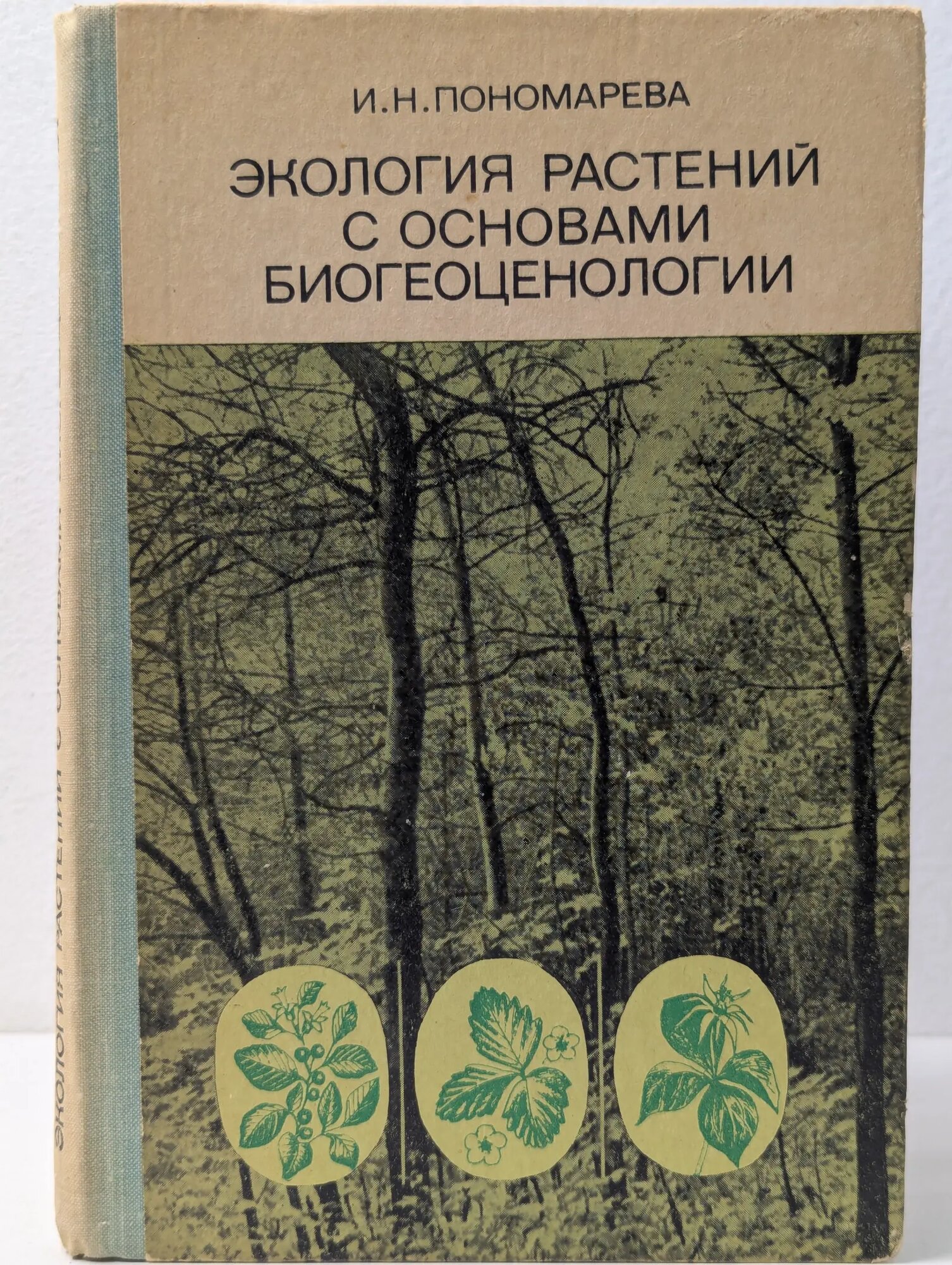 Экология растений с основами биогеоценологии Пономарева Ирина Николаевна 1978
