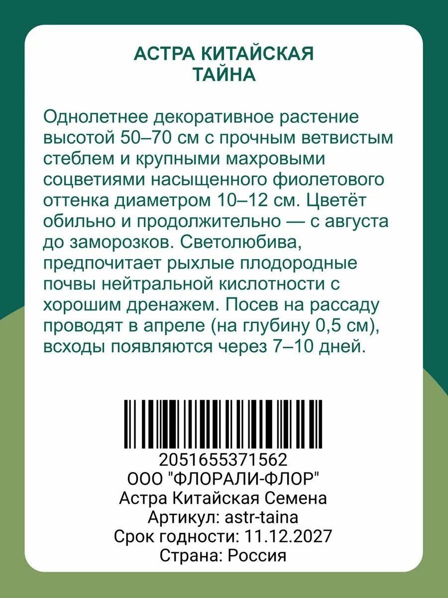Астра Китайская Семена — фото 1