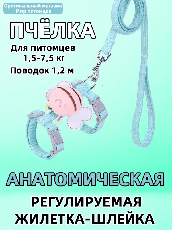 Анатомическая шлейка-жилетка DUOMM Пчёлка для кошек и собак, регулируемая, поводок 120 см, для веса 1.5-7.5 кг