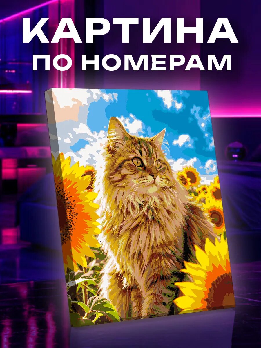 Картина по номерам Сибирская кошка в поле подсолнухов