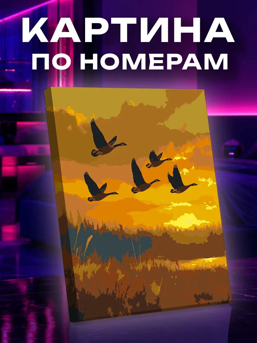 Картина по номерам Гуси