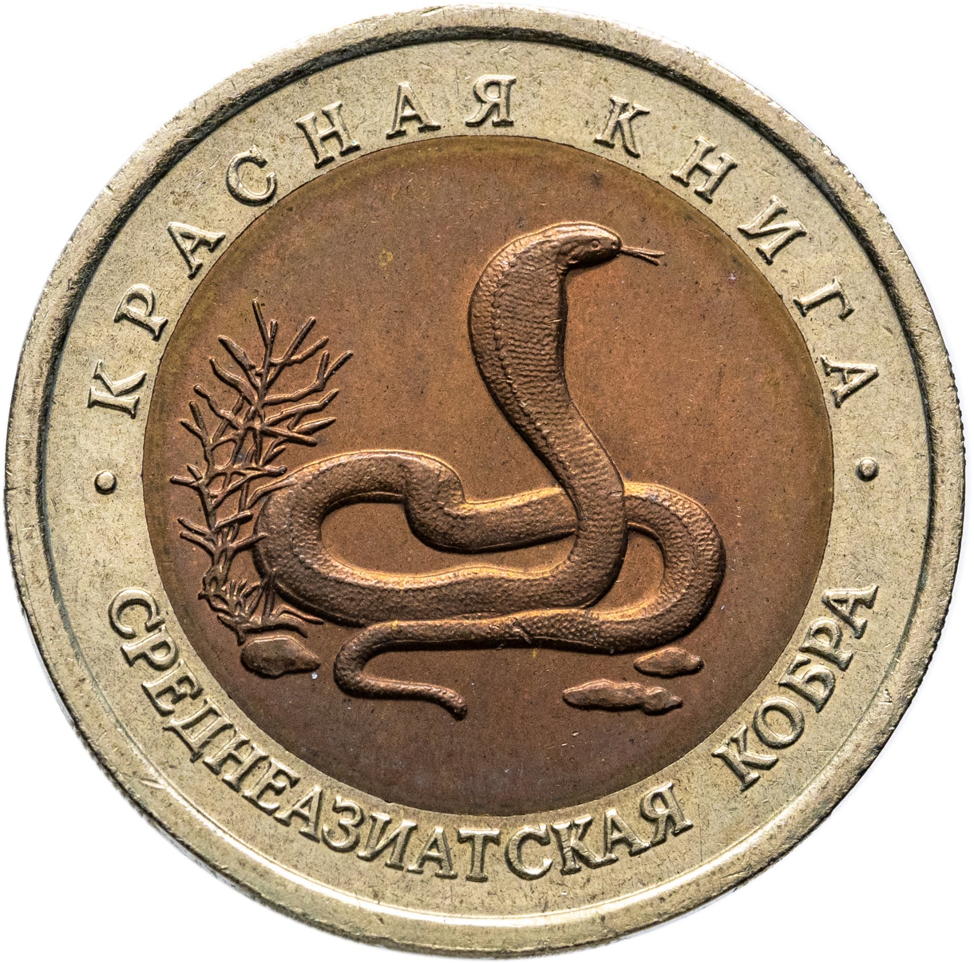 10 рублей 1992 ЛМД среднеазиатская кобра, Биметалл, в сохранности UNC