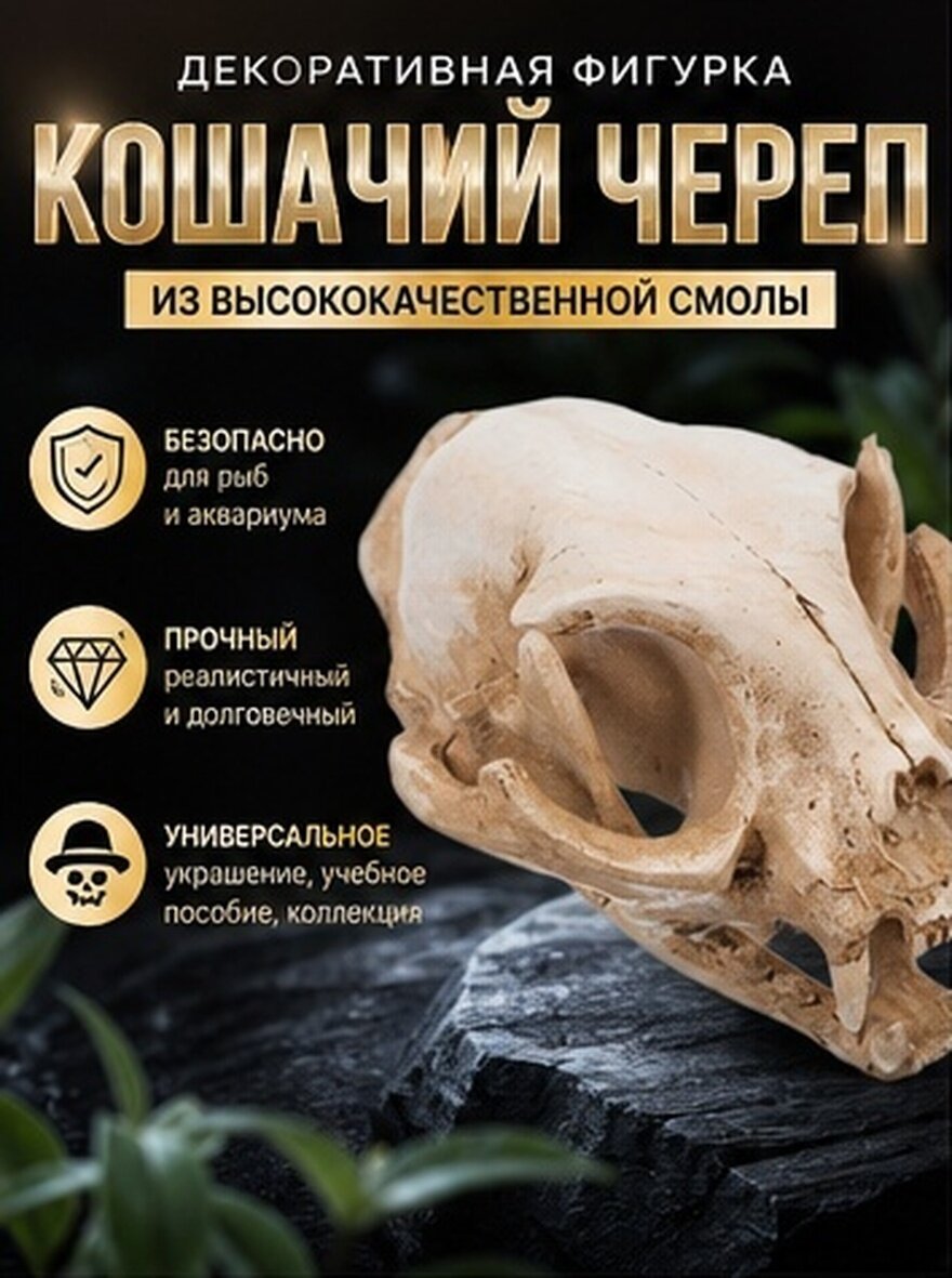 Кошачий Скелет Из Резины Декоративная Фигурка Для Аквариума И Террариума 6 5X6 5X9 Cm