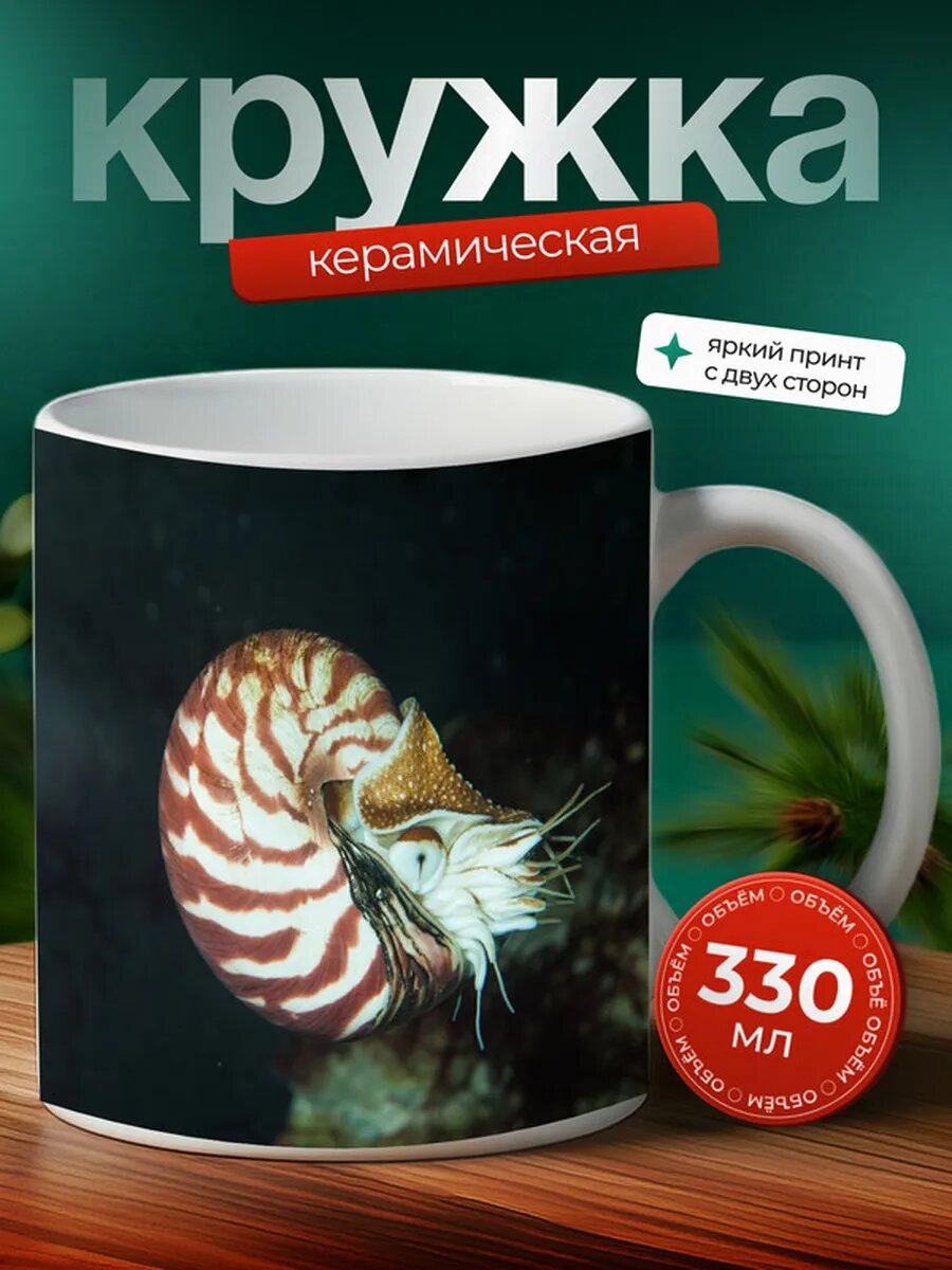 Кружка Наутилус моллюск 2,