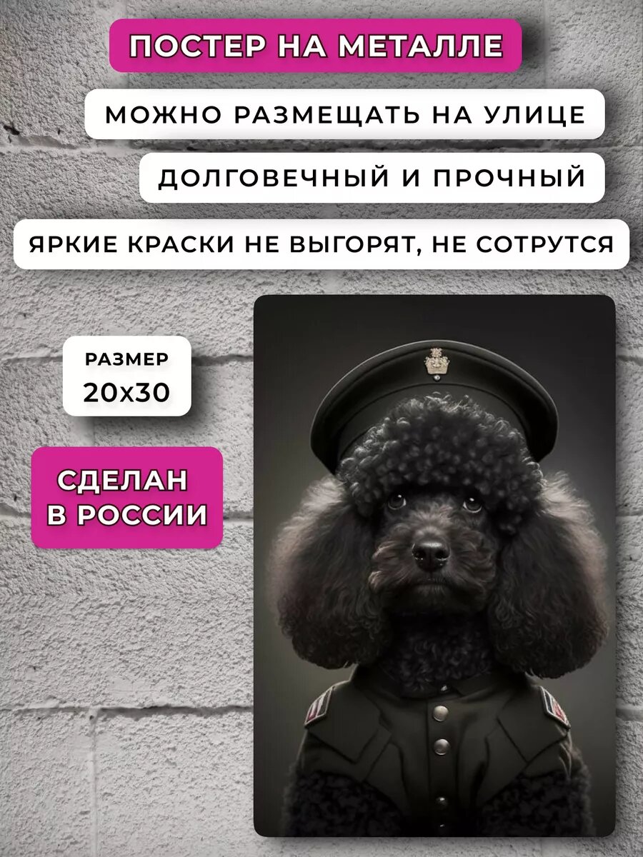 Постер Пудель — фото 1