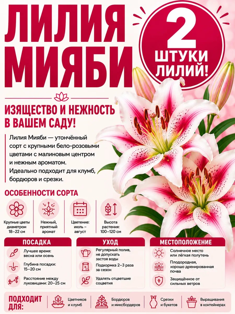 Луковицы лилий Мияби многолетние