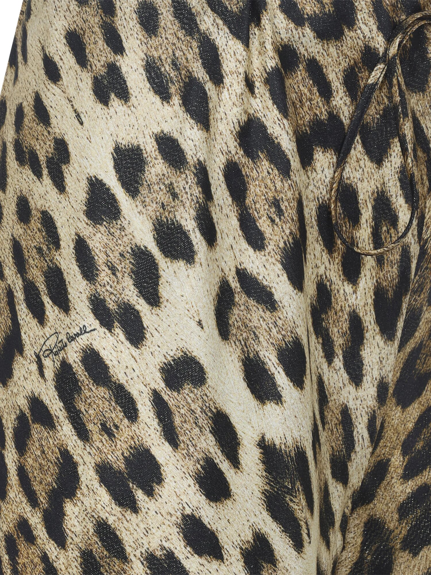 Брюки Roberto Cavalli Leopard-print trousers, размер 42, разноцветный — фото 1