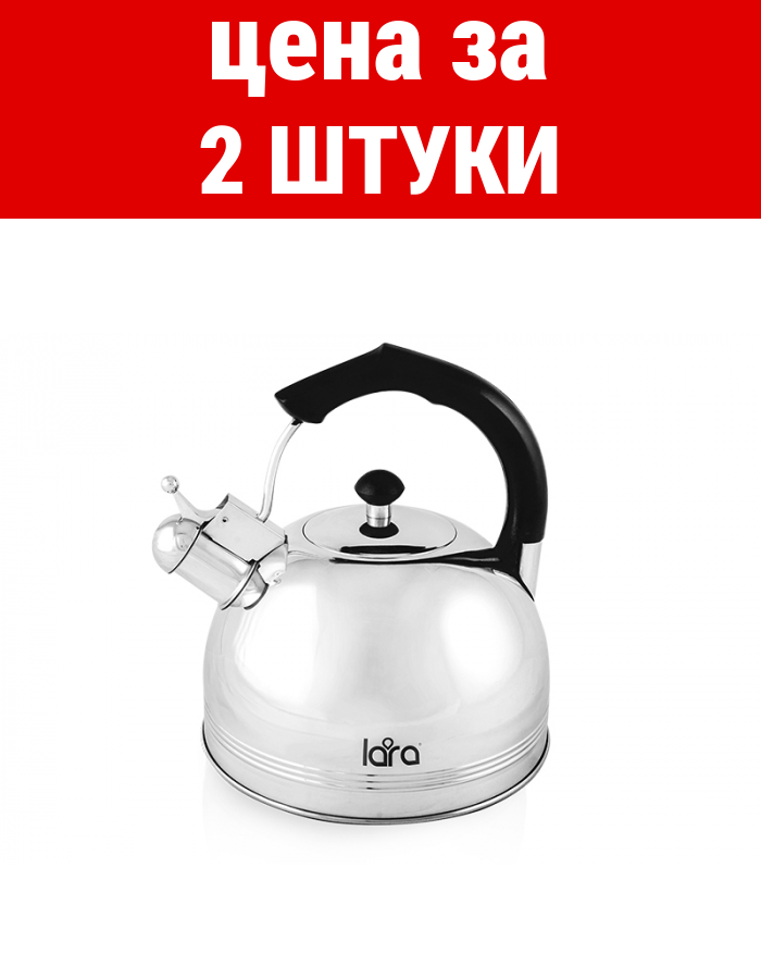 Комплект 2 шт, чайник нерж 4.0Л матовый со свист. Индукция LARA