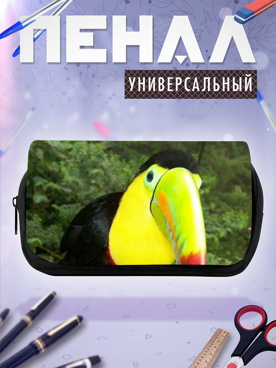 Школьный пенал токо тукан птица