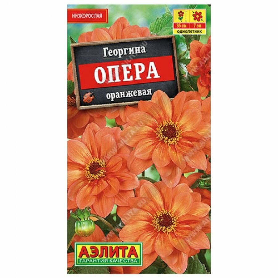 Георгина Опера оранжевая цв. п 0,1гр Аэлита