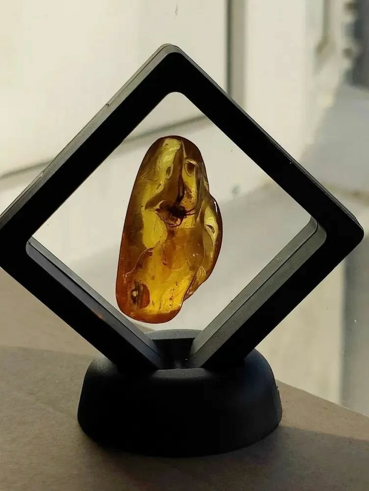 Натуральный балтийский янтарь с инклюзами насекомых Arma Amber