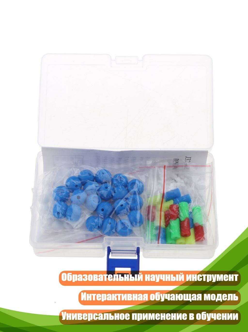 Модель ДНК в виде двойной спирали