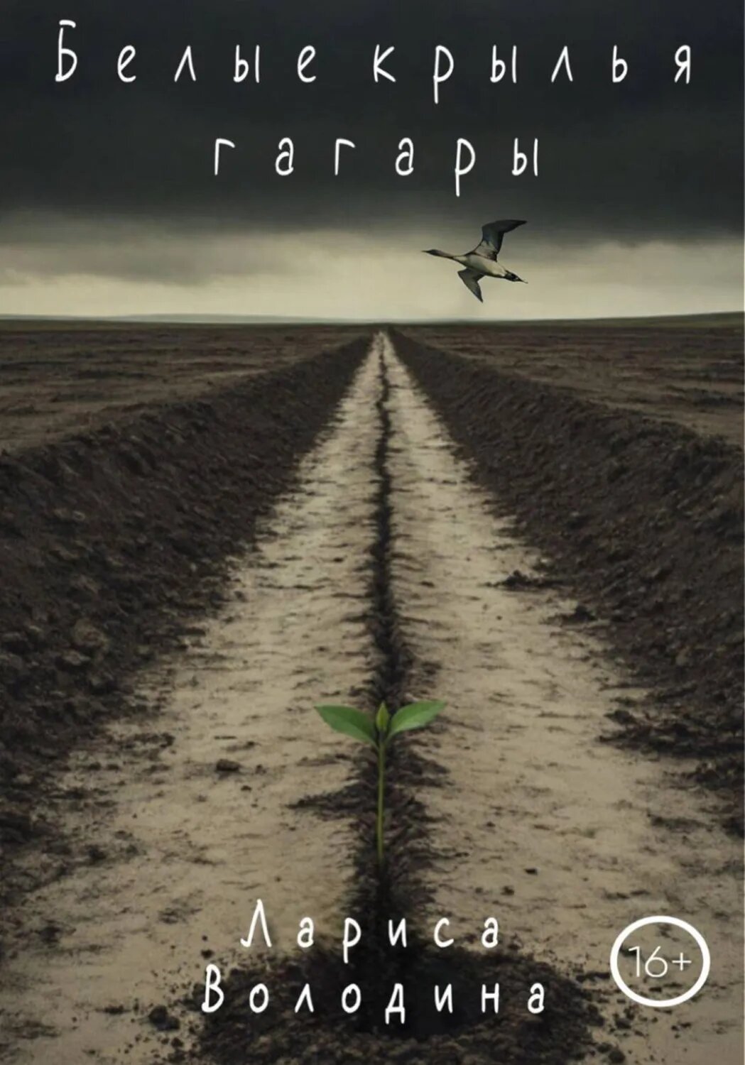 Белые крылья гагары [Цифровая книга]