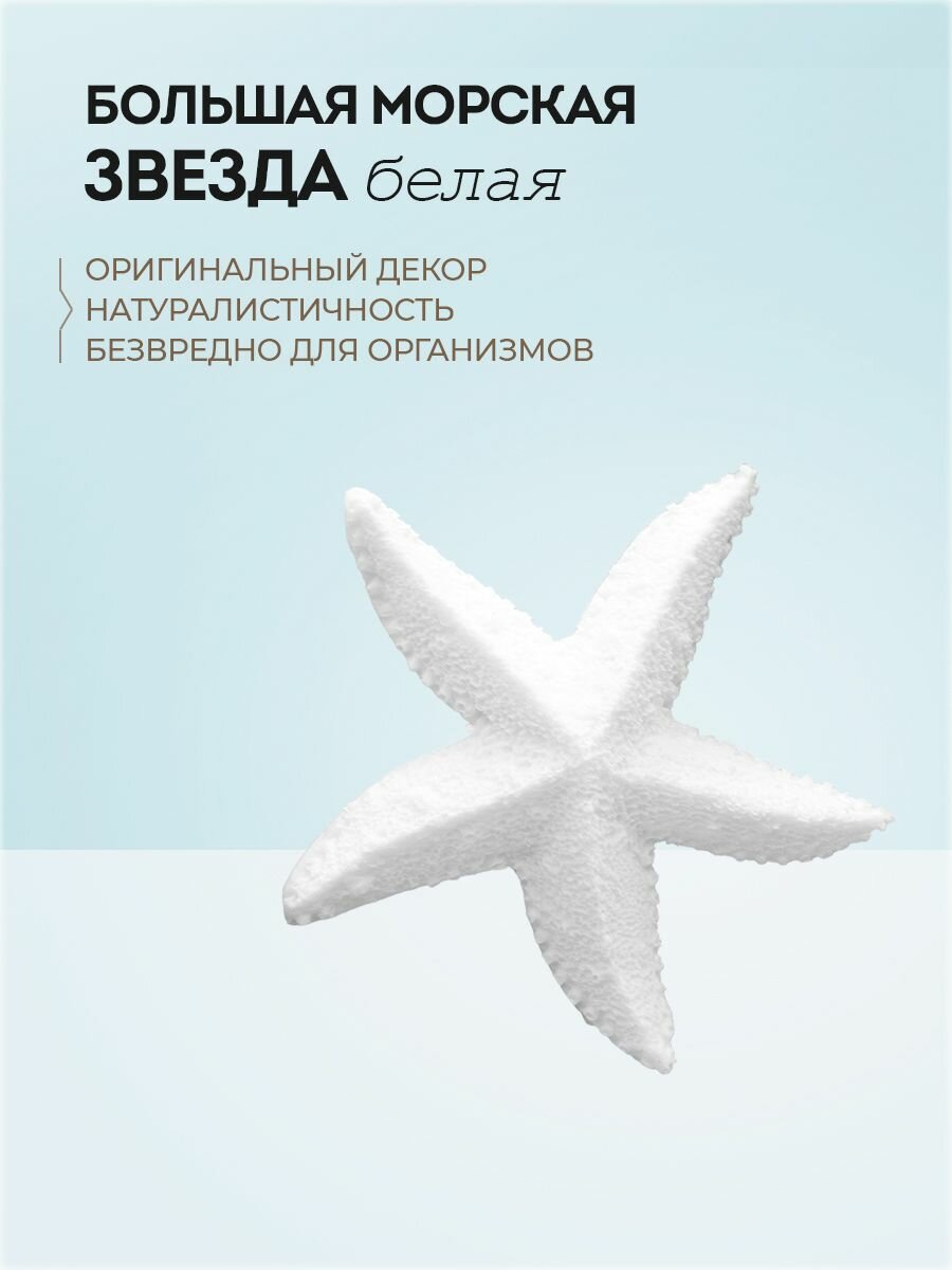 Морская звезда для аквариума, белая, диаметр 73 мм, искусственный коралл, декор