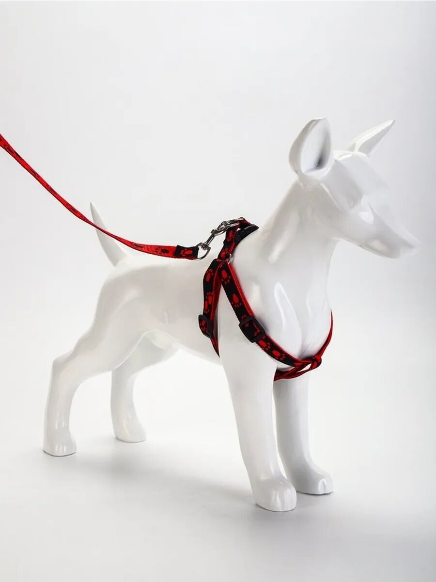 Стильный комплект для питомца «Большая лапа»