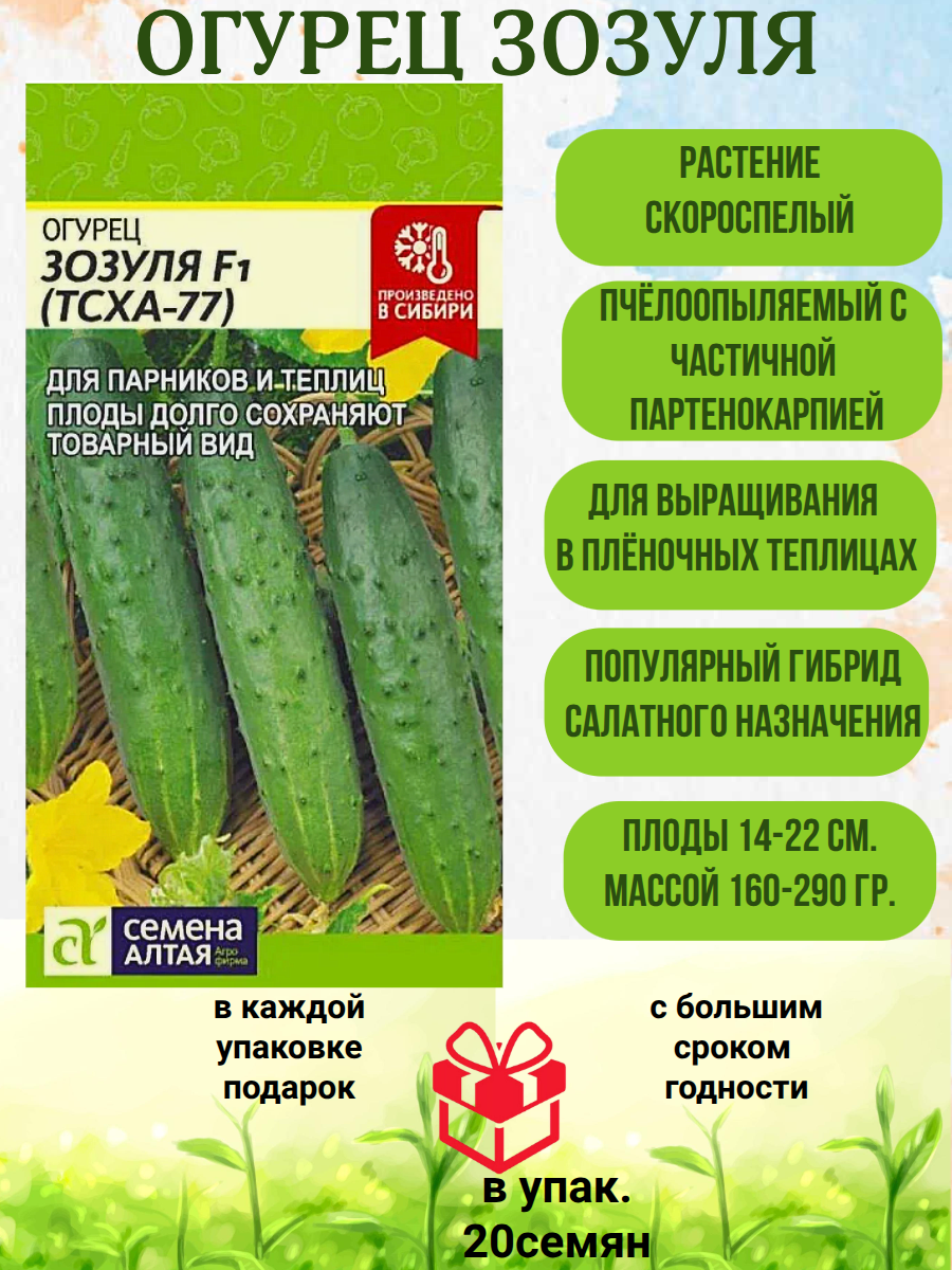 Огурец Зозуля F1 (тсха 77) для теплиц и парников (Семена Алтая), 0,3 г (2 пачки)