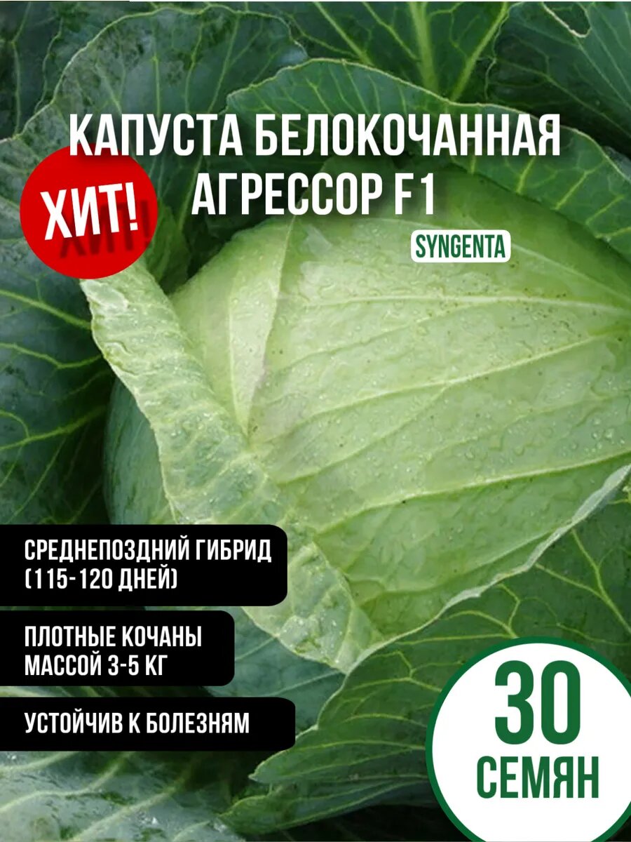 Капуста б/к Агрессор F1 30 семян, Швейцария