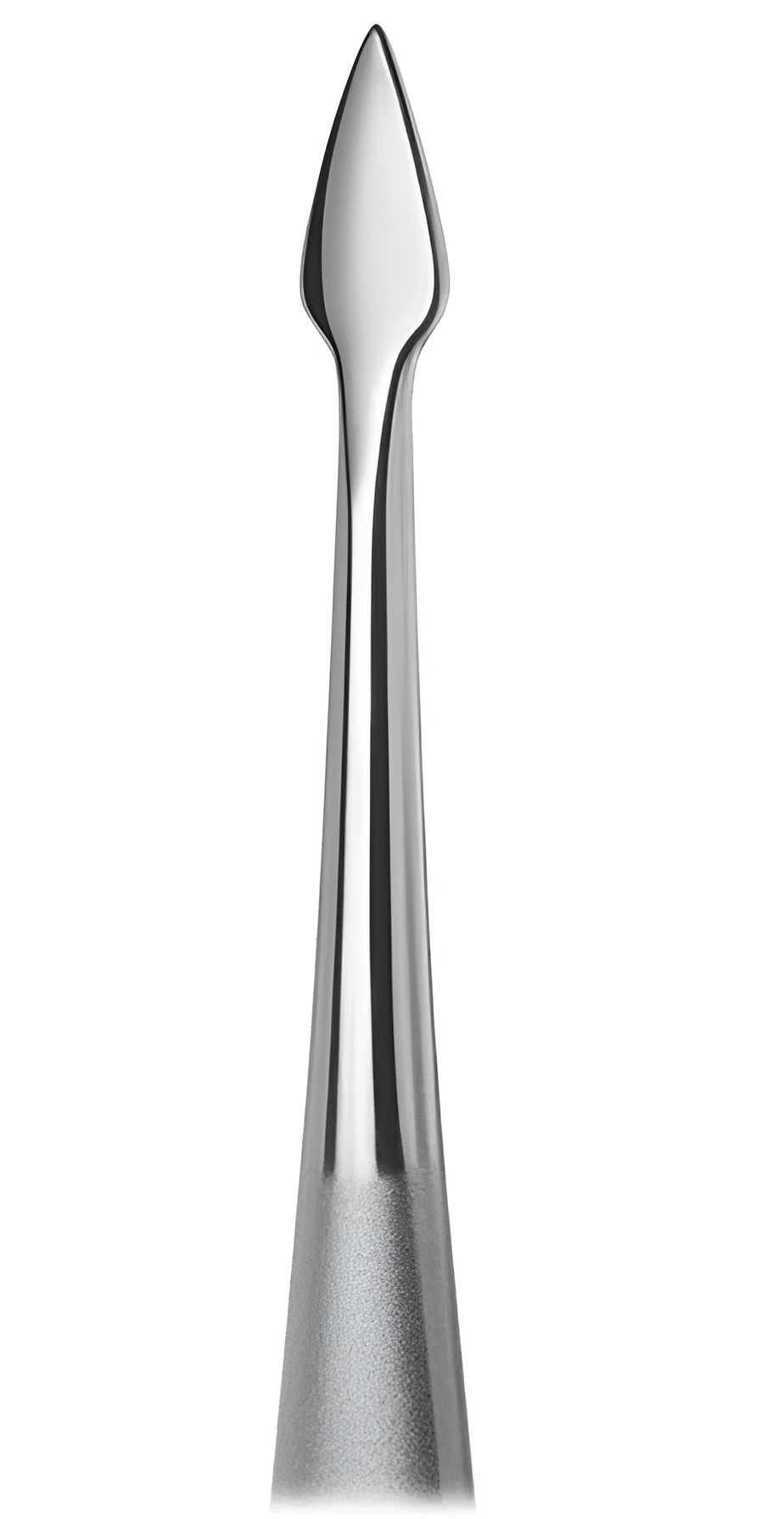 Лопатка маникюрная Staleks Beauty & Care 10 TYPE 1, пика, медицинская сталь