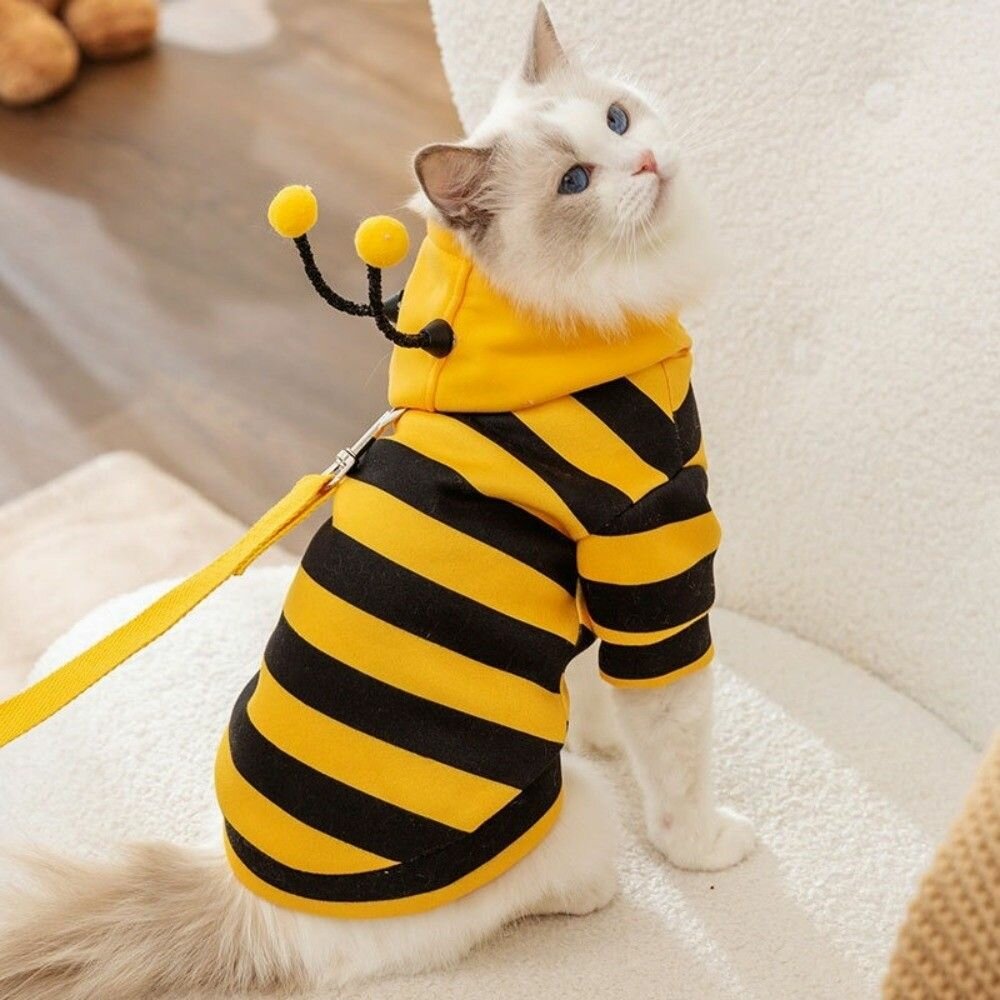Костюмы для котиков на праздник