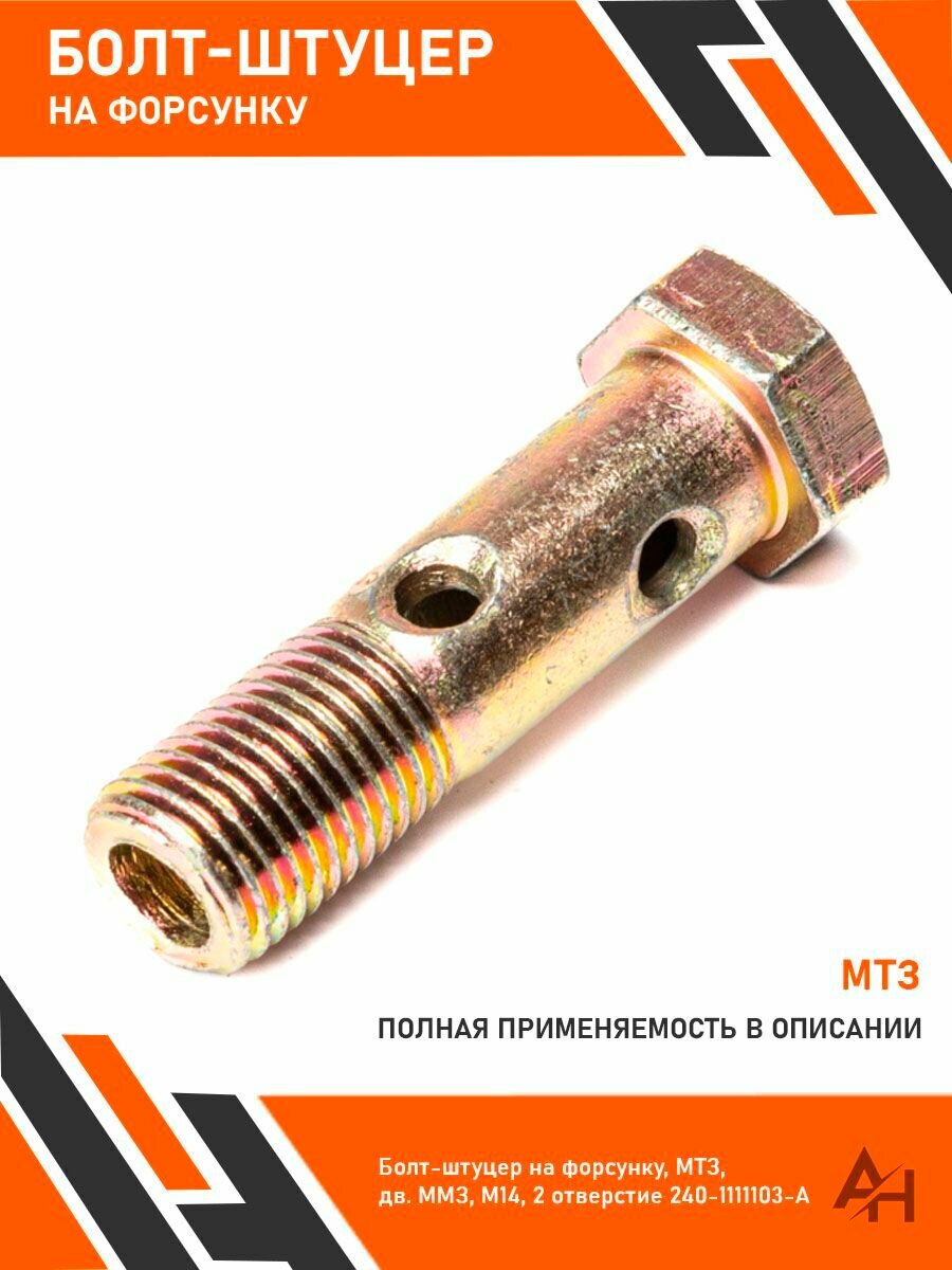 Болт-штуцер на форсунку, МТЗ, дв. ММЗ, М14, 2 отверстие