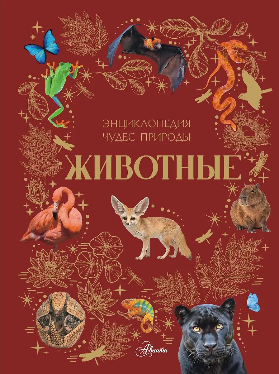 Энциклопедия АСТ Животные Ярович А. Г, 2025 г