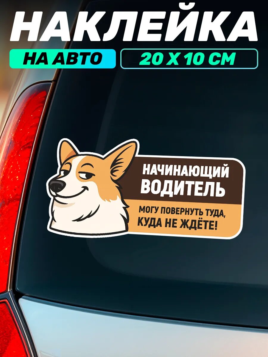 Наклейка на авто Начинающий водитель Собака корги