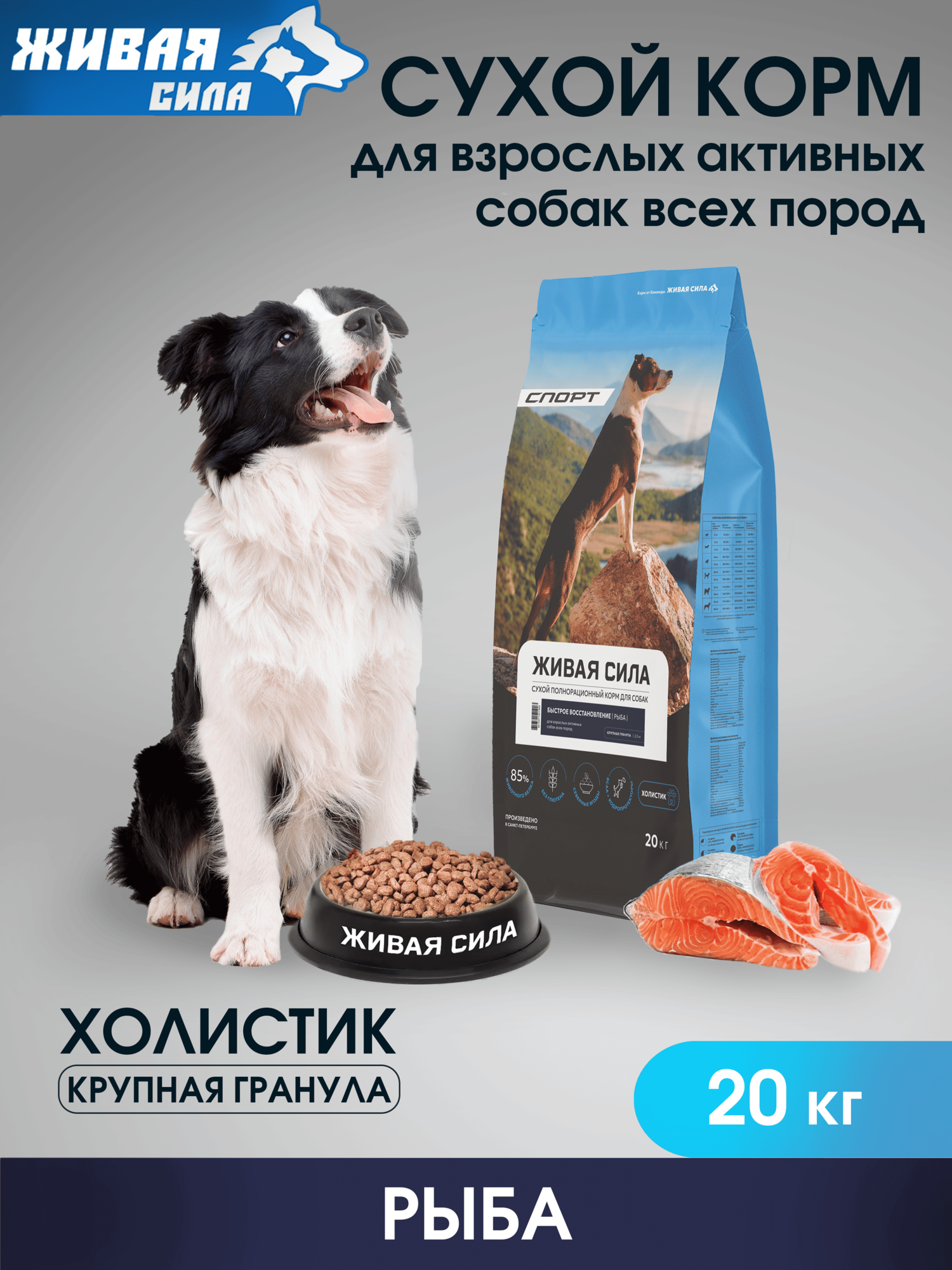 Живая Сила Спорт с рыбой (Живая Сила Океан), крупная гранула, 20 кг.