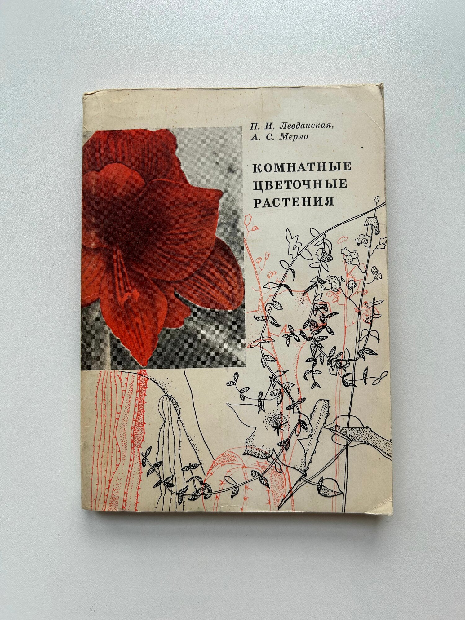 Комнатные цветочные растения. Издание 1967 года