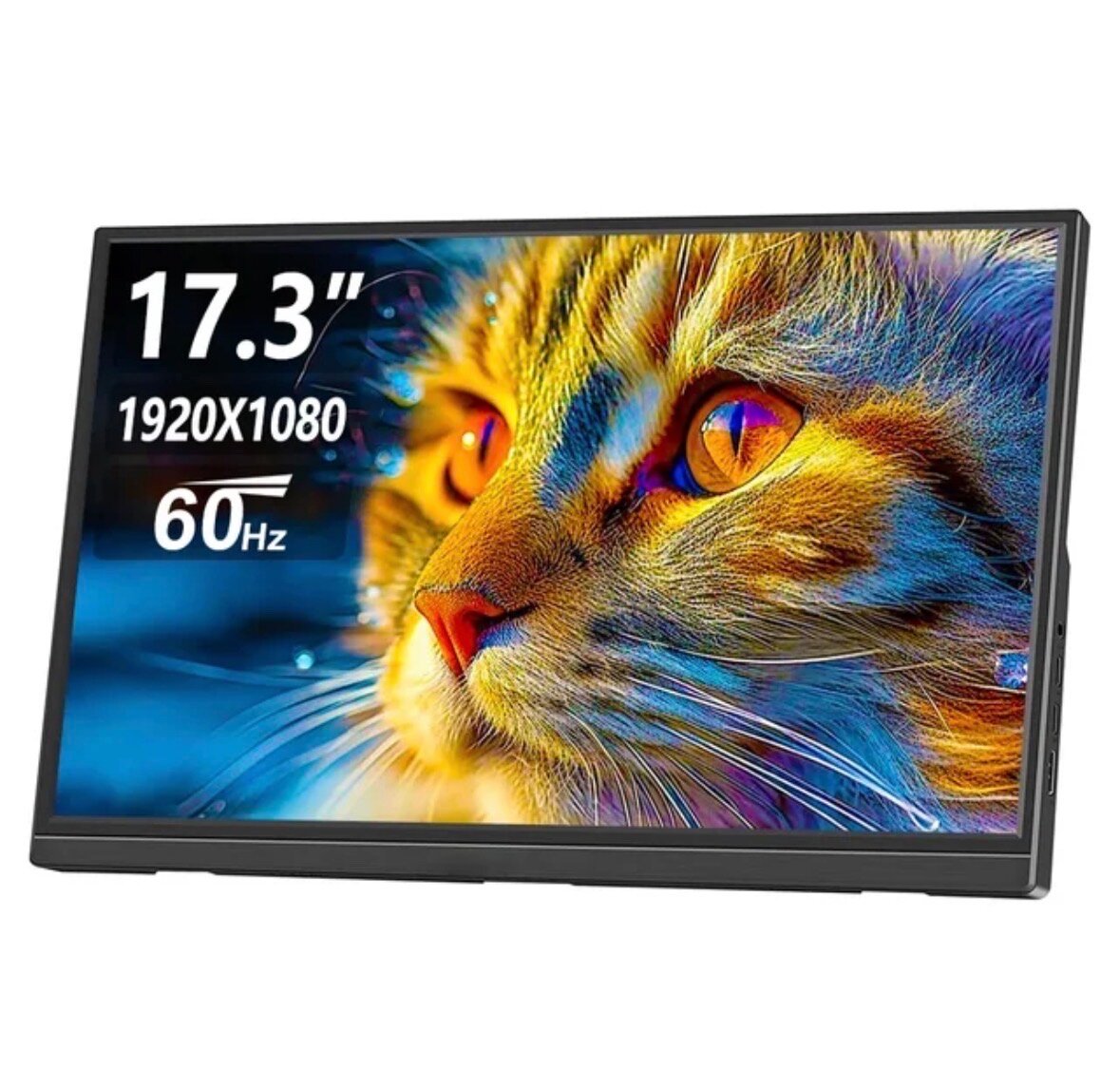 Портативный монитор VESA 12V 17,3 дюйма