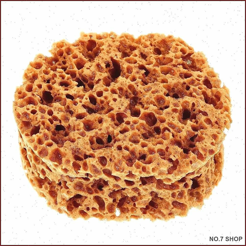 Губка малярная