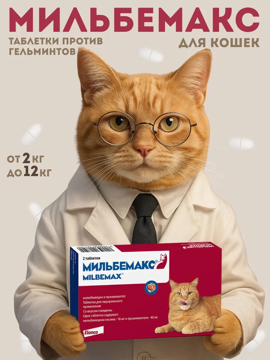 Мильбемакс, таблетки от гельминтов со вкусом говядины для крупных кошек, 2 шт