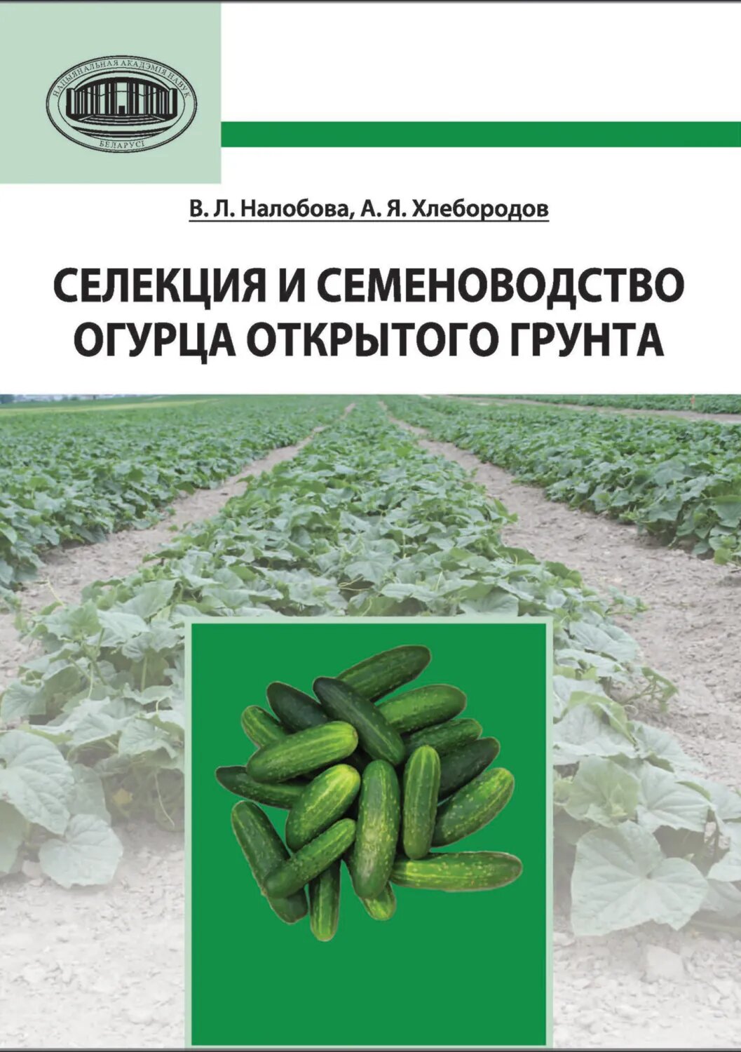 Селекция и семеноводство огурца открытого грунта [Цифровая книга]