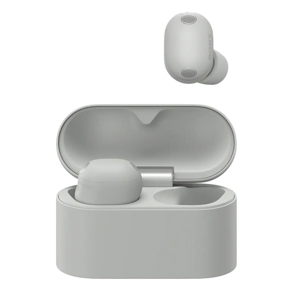 Наушники Sony WF-1000XM6 Silver