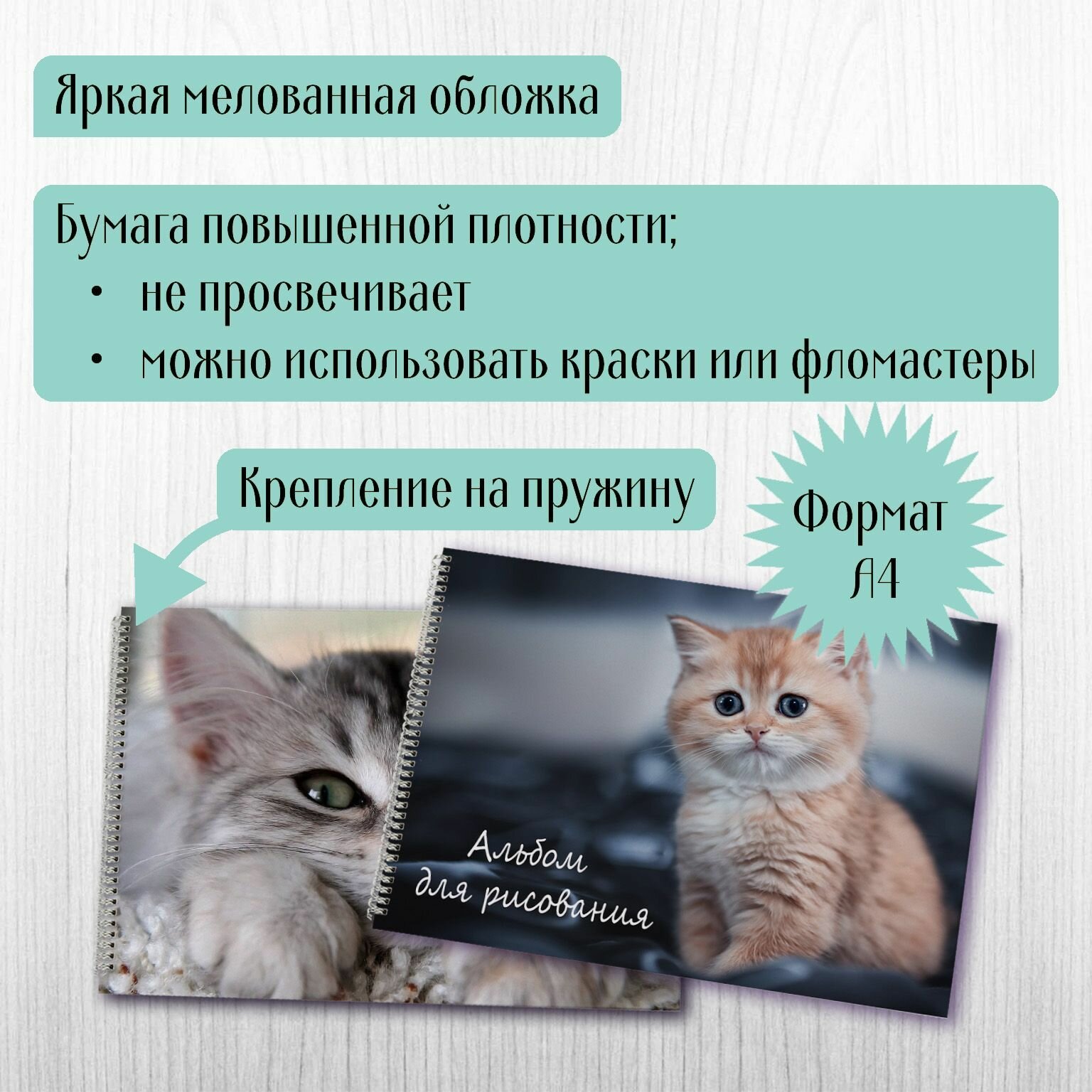 Альбомы для рисования Котики — фото 1