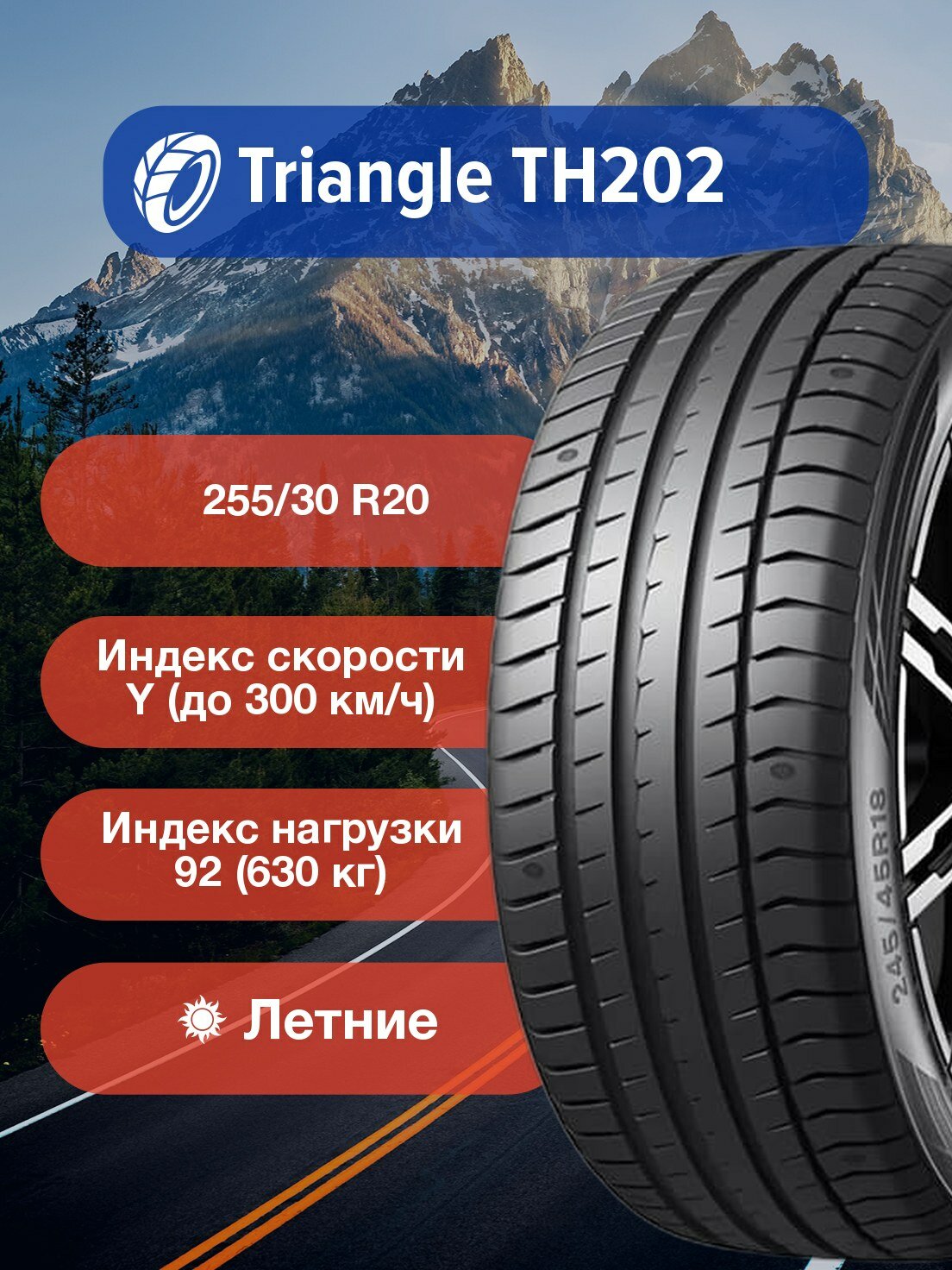 Легковые Летние Шины Triangle TH202 255/30 R20 92Y- для легковых автомобилей и кроссоверов