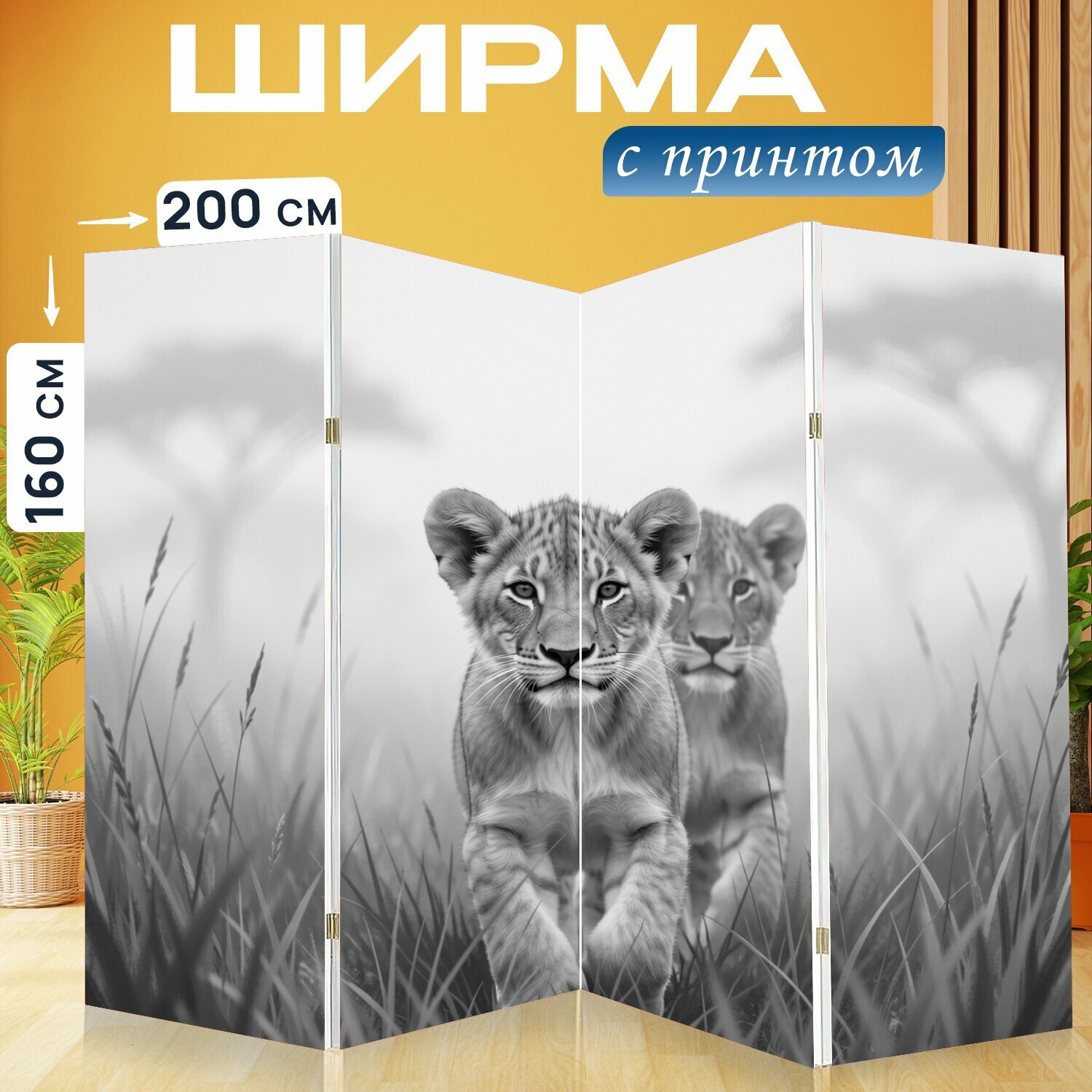 Ширма "Львята в высокой траве. Черно-белая дикая сцена с двумя маленькими хищниками среди высокой травы и." перегородка для зонирования комнаты с принтом 200x160 см. на холсте