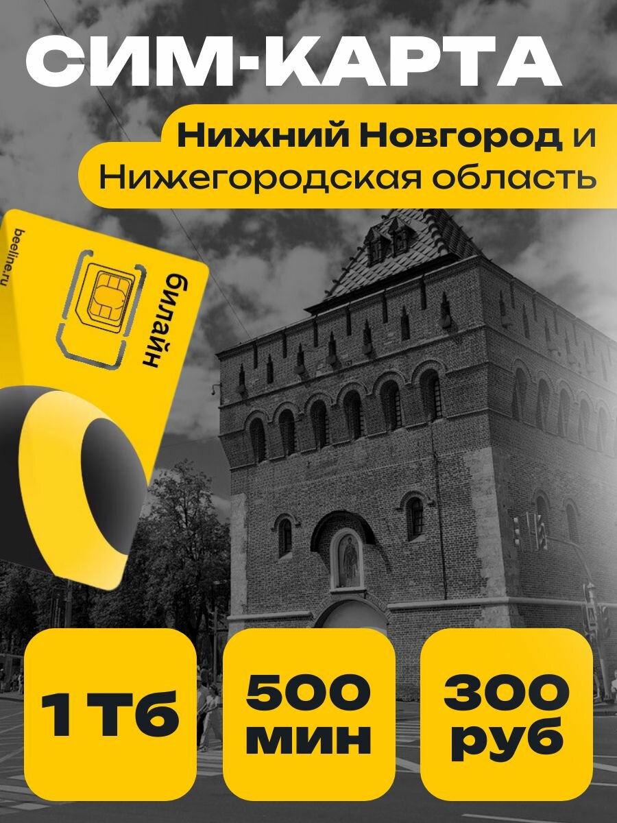 Сим-карта Билайн тариф Эксклюзивный Нижегородская область 1000 Гб + 500 минут за 300 руб.