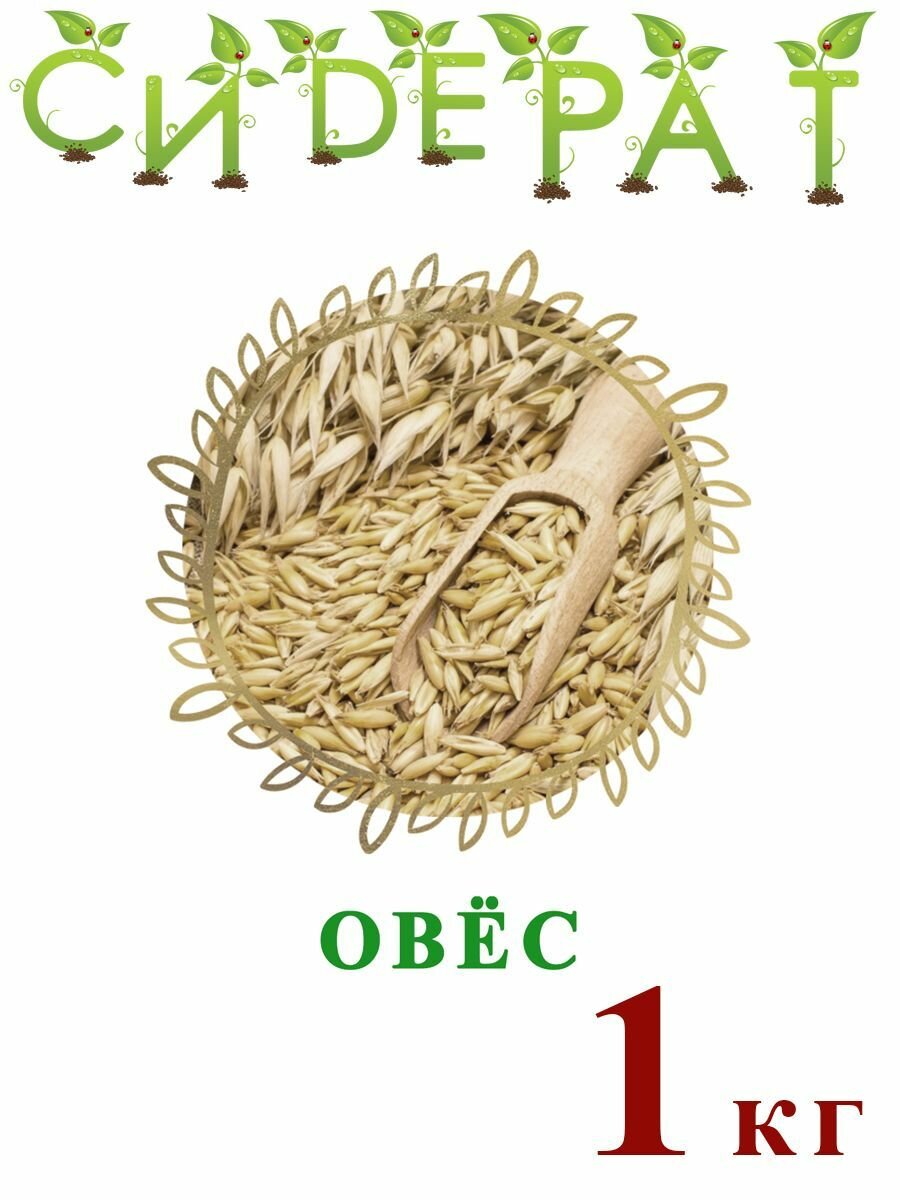 Сидерат Овес 1 кг.
